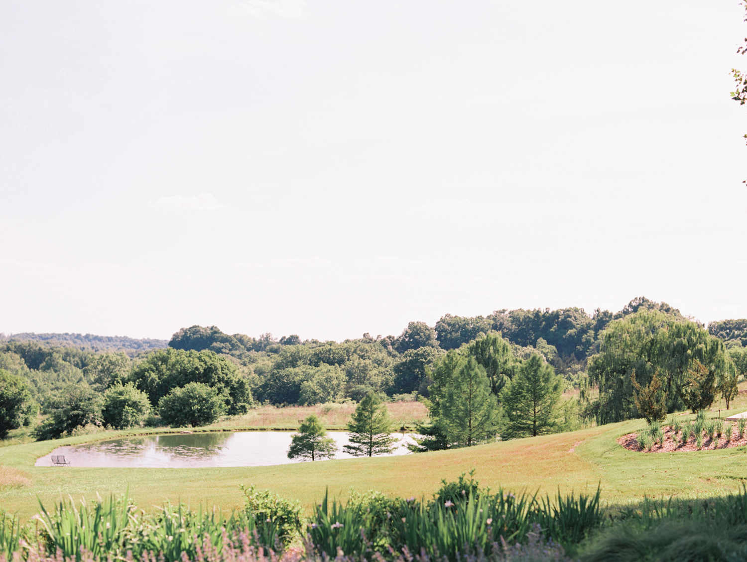 Ashbourne Farms Wedding | Ali and Clay's Stunning Day